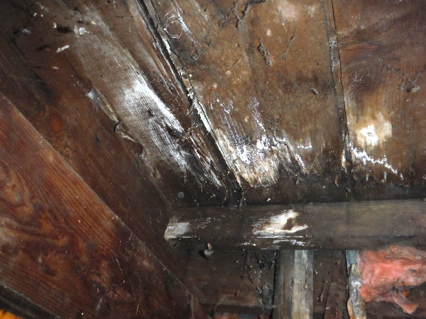 Seattle Dry Rot Repair Contractor | SFW Construction LLC