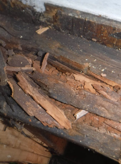 Crawl Space Repair | Structural Issues, Dry Rot Remediation