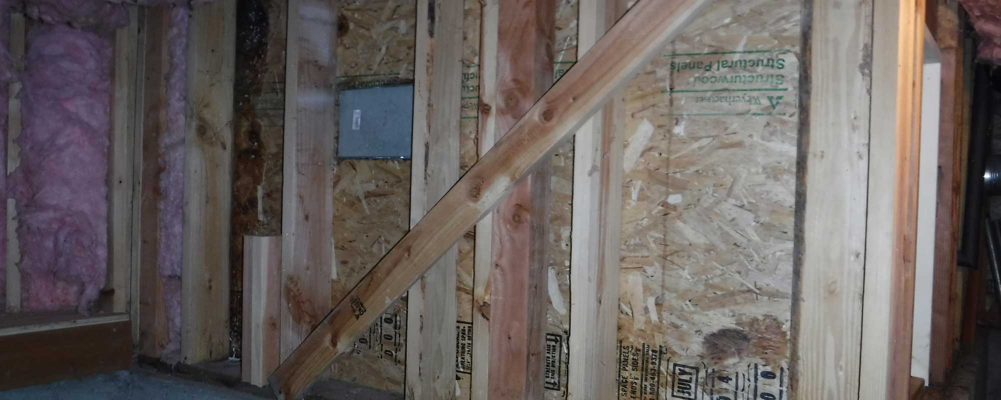 Crawl Space Repair | Structural Issues, Dry Rot Remediation