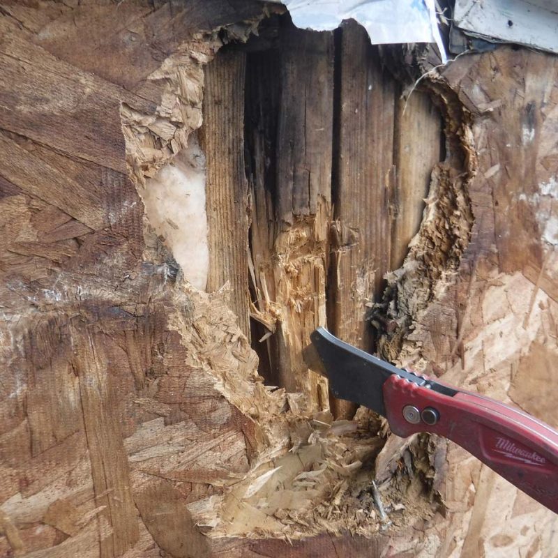 Seattle Dry Rot Repair Contractor | SFW Construction LLC