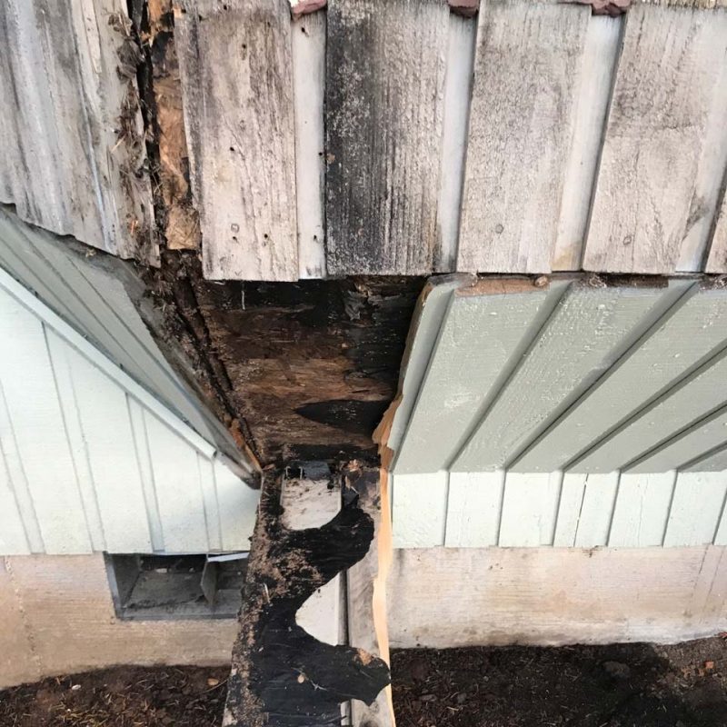Seattle Dry Rot Repair Contractor | SFW Construction LLC