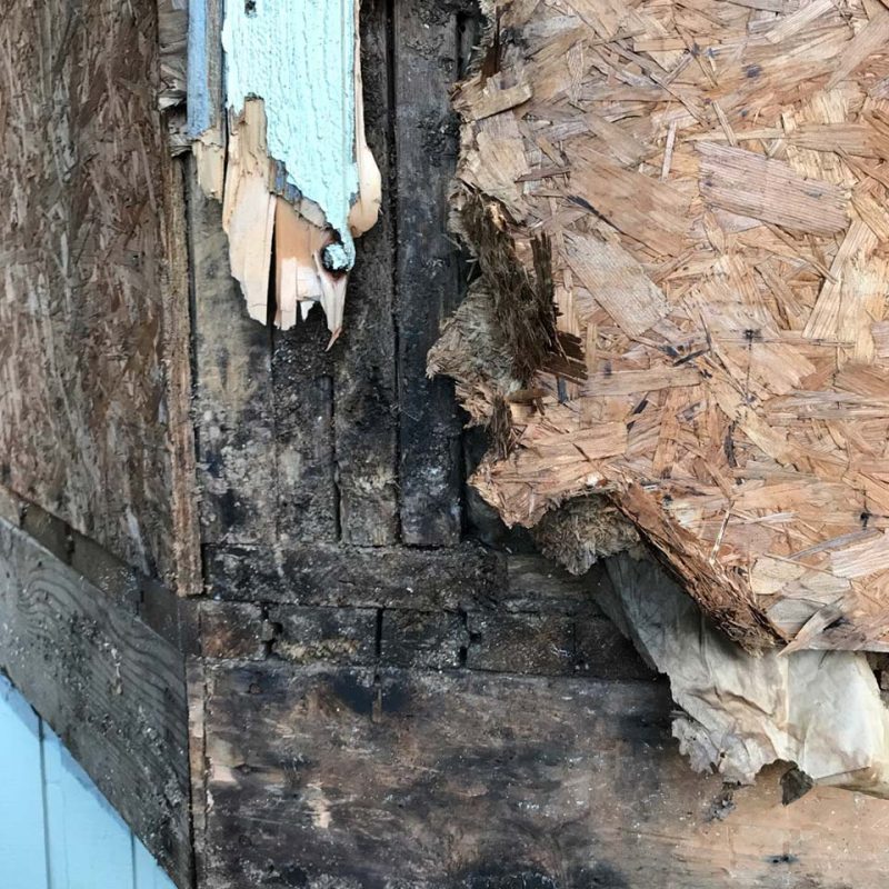 Seattle Dry Rot Repair Contractor | SFW Construction LLC