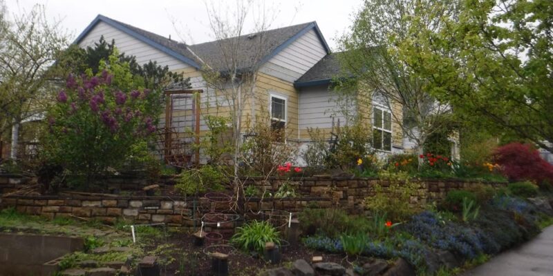 Common Signs Of Wood Rot Around A Window | Preserve Your Home