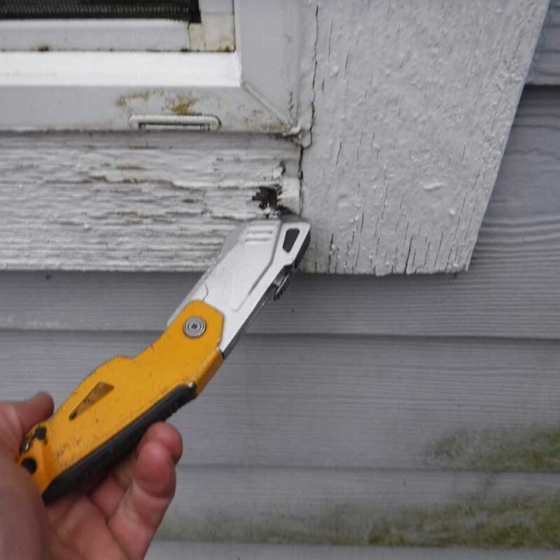 Common Signs Of Wood Rot Around A Window | Preserve Your Home